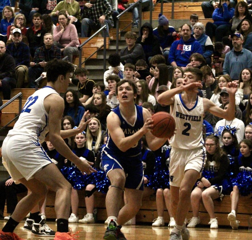 Wolverines’ revenge | News, Sports, Jobs - Observer Today